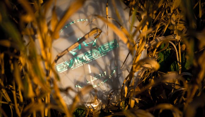 Dynamic Discs Evidence Review | Mind Body Disc